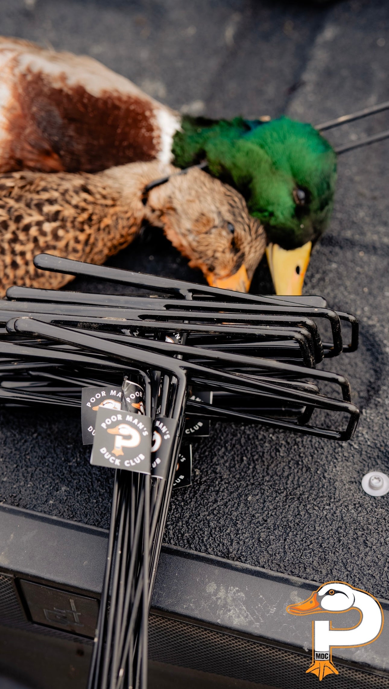 Field Stakes – Poor Man's Duck Club